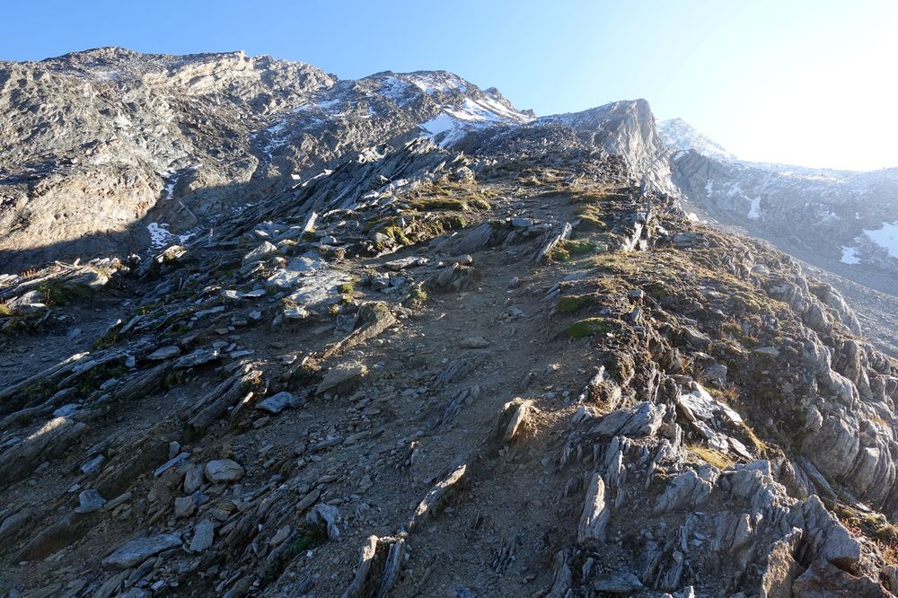 Hochfeiler Normalweg